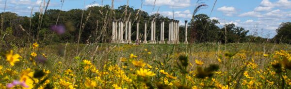 FONA - Friends of the National Arboretum