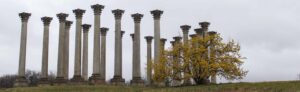 FONA - Friends of the National Arboretum