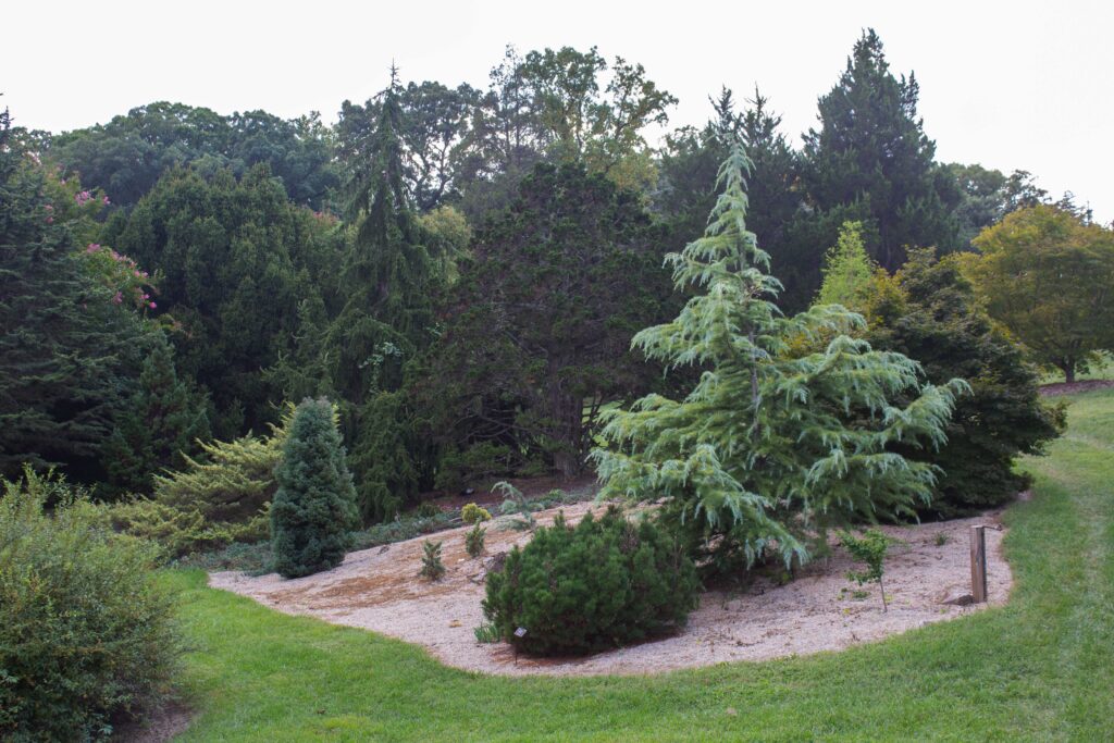 EVENTS & PROGRAMS - Friends of the National Arboretum